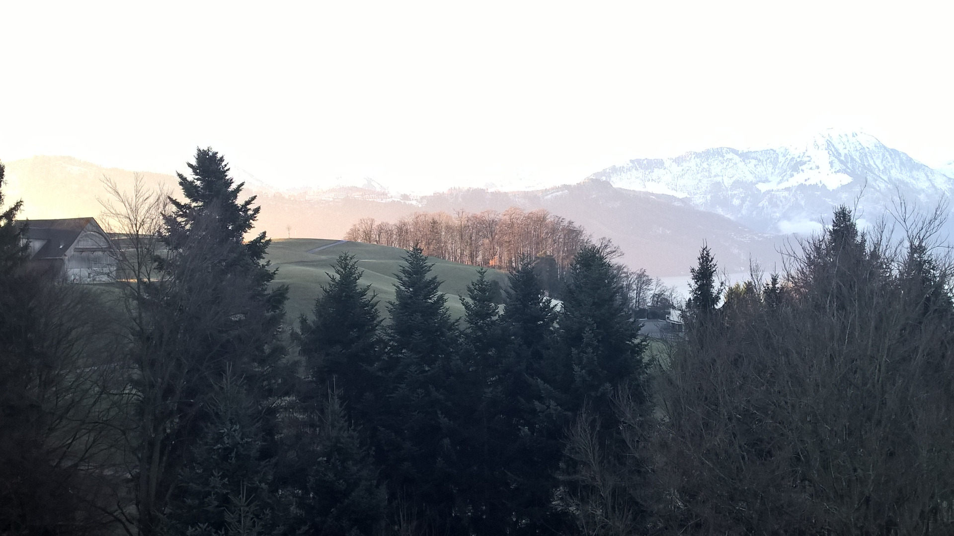 Lüscher-Diagnostics :: Max Lüscher Stiftung