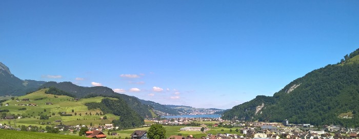 Lüscher Foundation :: Max Lüscher Stiftung