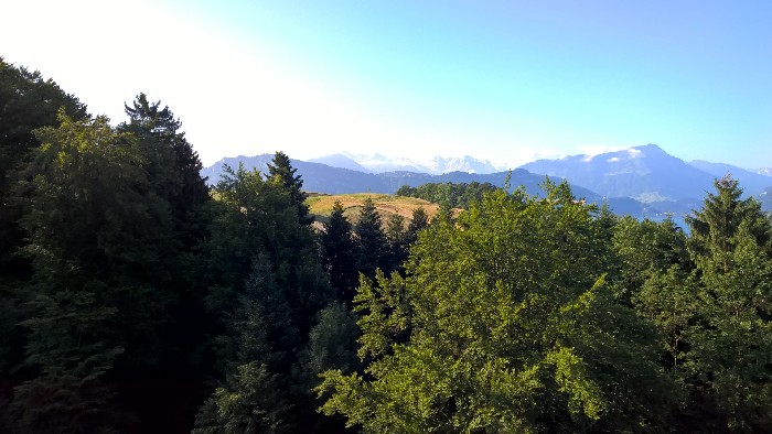 Max Lüscher :: Max Lüscher Stiftung